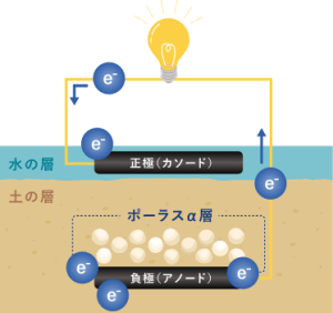 ポーラスα ＋ | Porous Alpha
